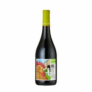 Argentinian Malbec - The Ultimate Guide - Handpicked Wine Box